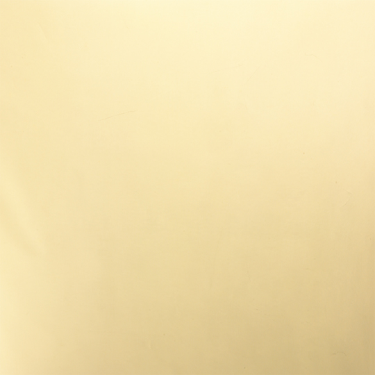 D8004 Polished Gold Aluminium - DecoMetal