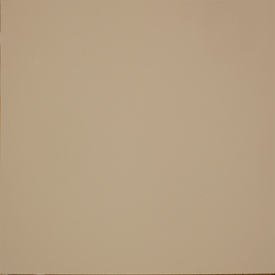 0719 埃及米 - FENIX NTM